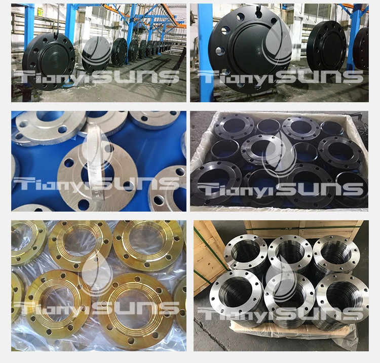 DIN2527 PN16 CL150 Serrated Finish Flange RF Stainless Steel Blind Flange