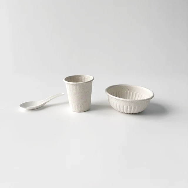 Bagasse Pulp Spoon - Compostable Cutlery for Camping