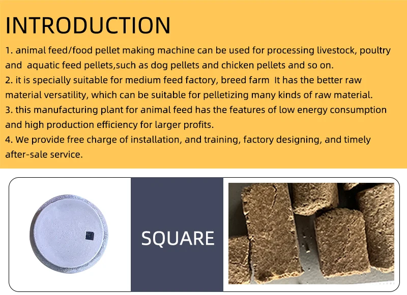 Pet Food Extruder Processing Machine Floating Fish Feed Mill Pellet ...