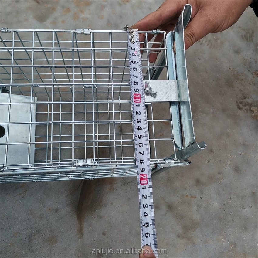 Collapsible Catch Bird Pigeon Trap Cages for Reuse