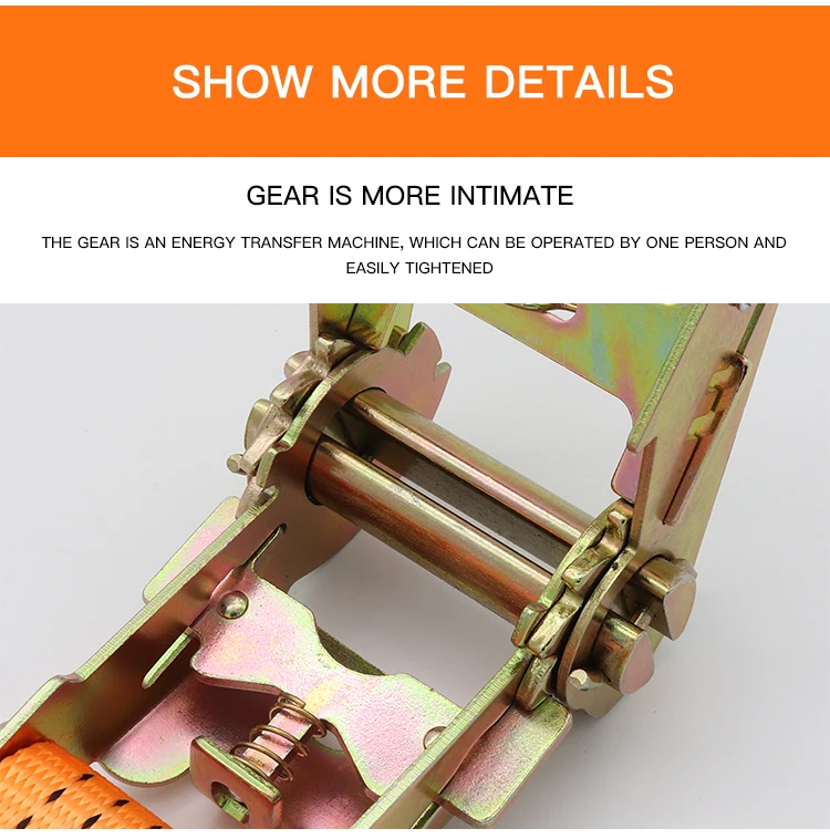 Ratchet Strap Cam Buckle Ratchet Strap Zinc Buckle Lashing Belts Cargo ...