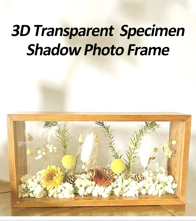 Factory Custom Frame 3d Transparent Specimen Diy Frame Shadow Box Frame ...