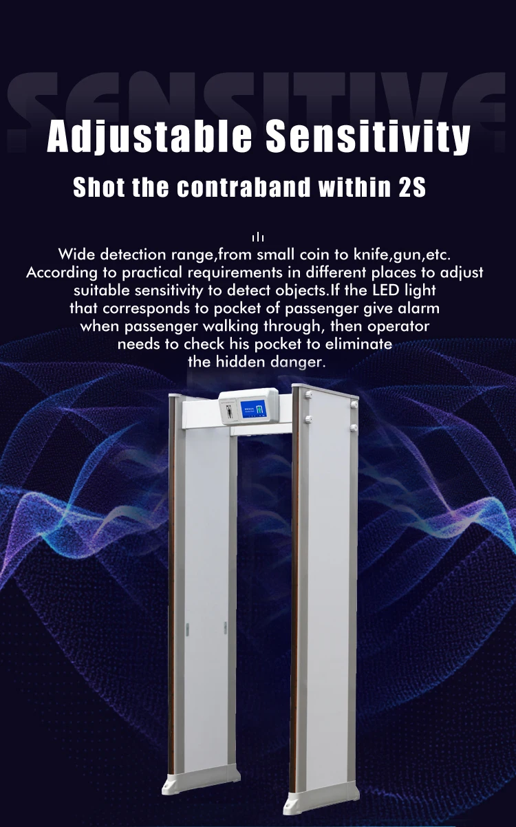 Safeagle Test Door Walk through Metal Detector - Detect Contraband