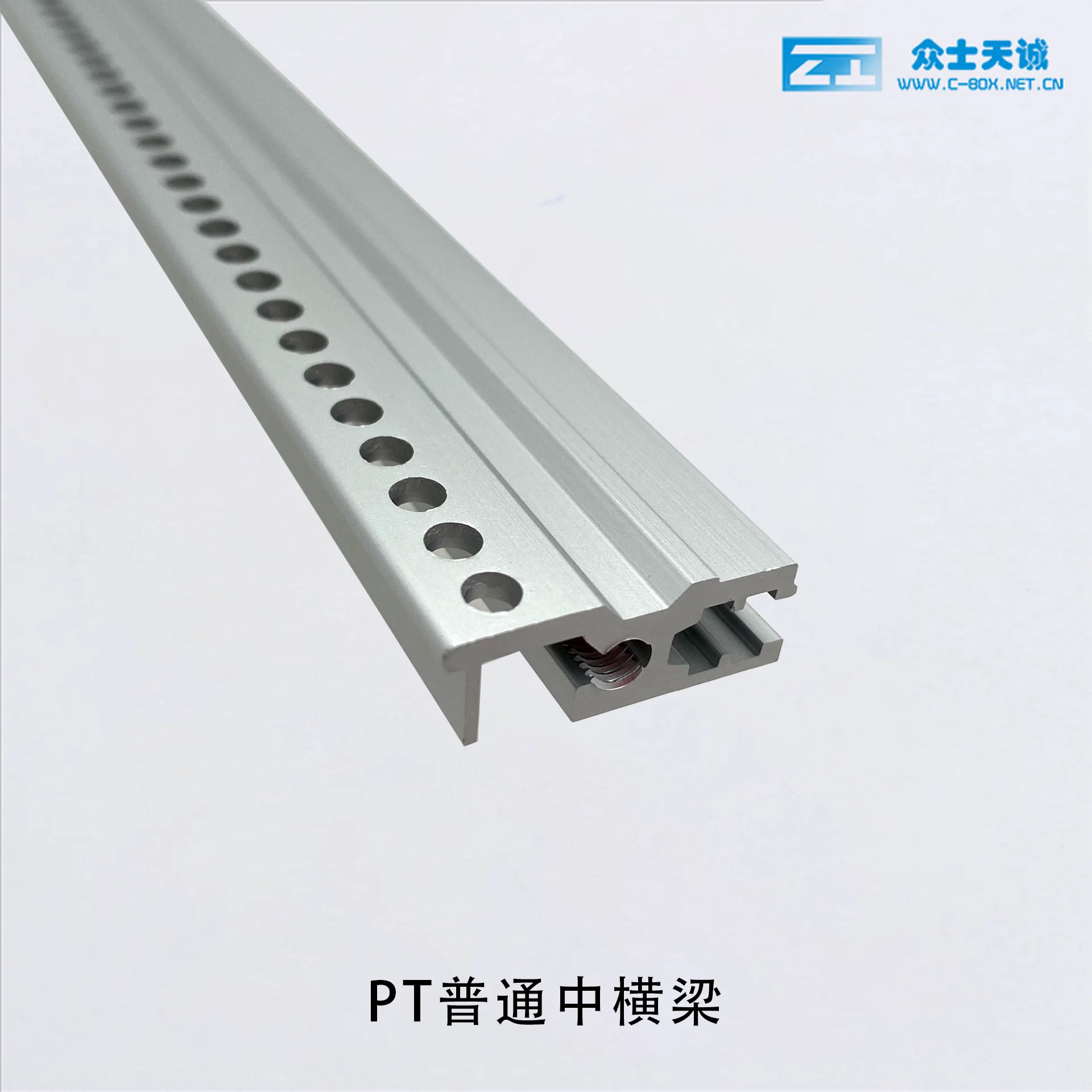 ZSTC C-BOX Rittal Schroff Horizontal Rail, Front, Type H-LD, Heavy ...