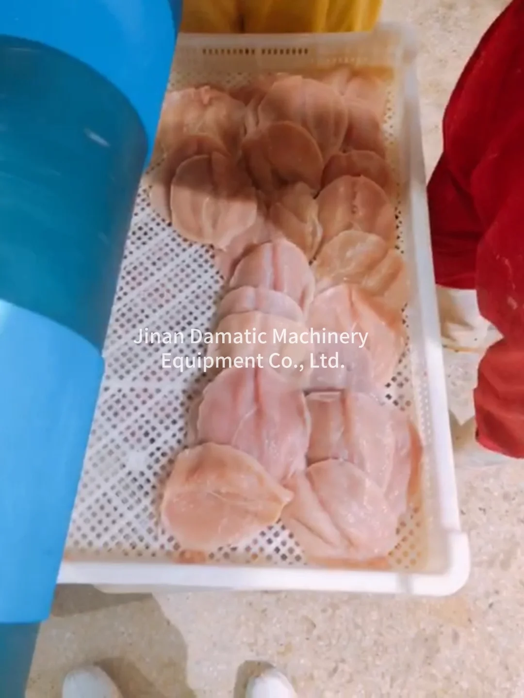 Horizontal Single Lane Conveyor Belt Poultry Food Processing Pork Beef ...