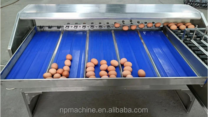 NP Brand Small Egg Grading Machine Egg Sorting Machine Sale High ...