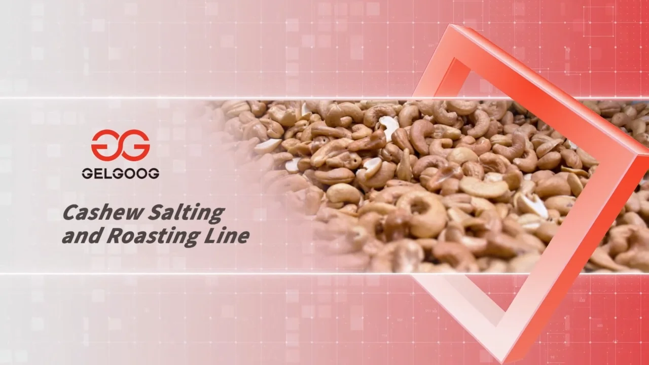 Hot Air China Peanuts Sunflower Roaster Seasoning Machine Complete Line ...