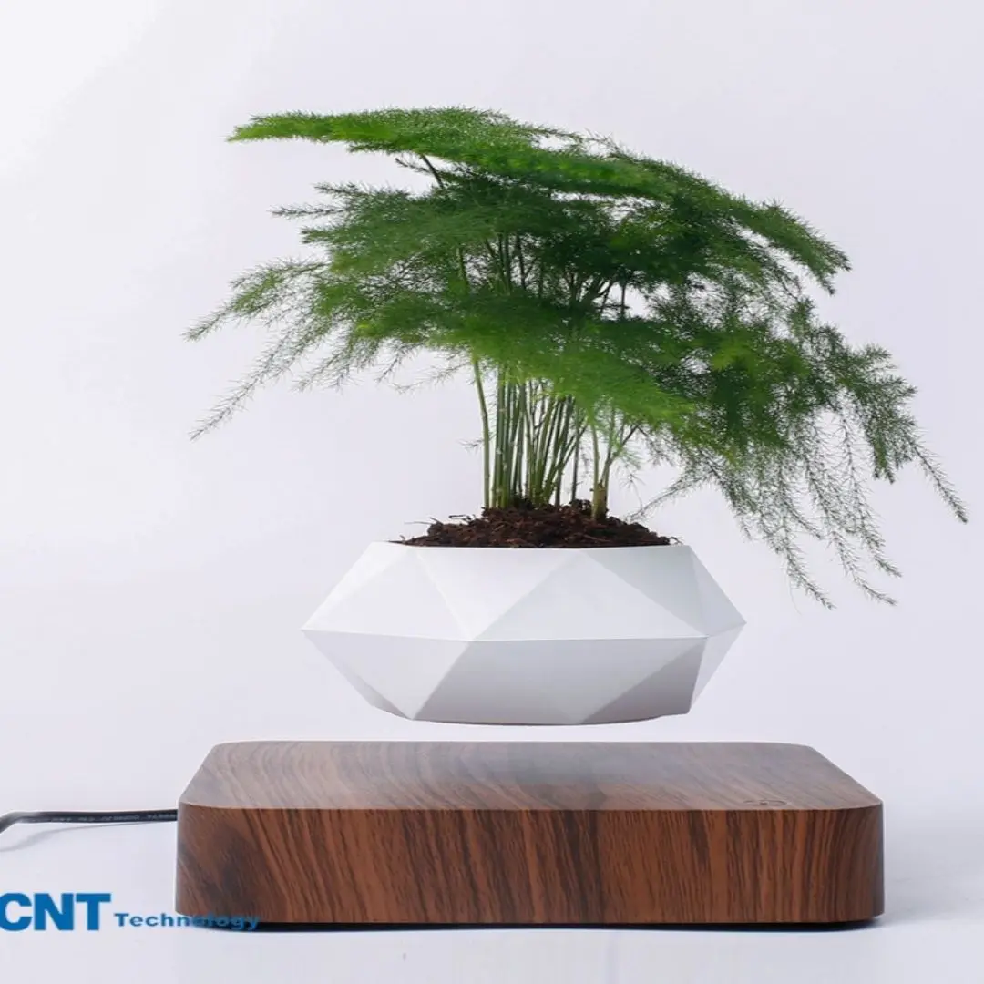 LECMAG Magnetic Levitating Bonsai Pot - Customized Size