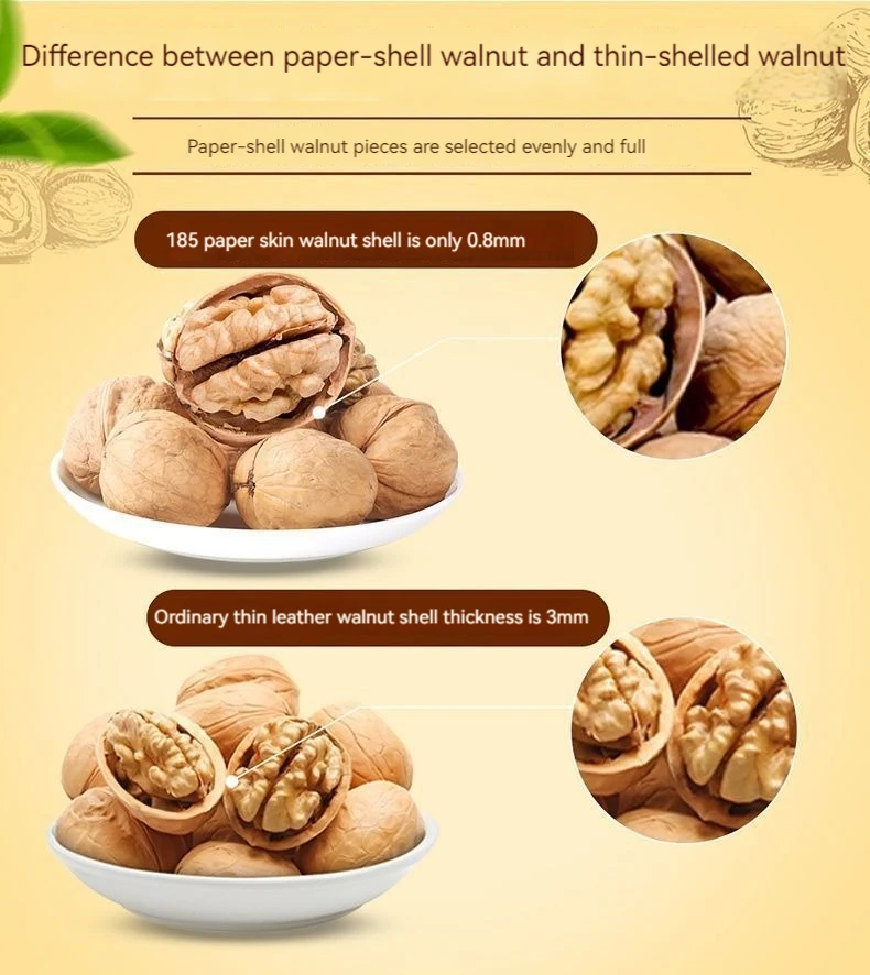 China Origin Wholesale Walnuts With Shell - Buy Walnuts With Shell ...
