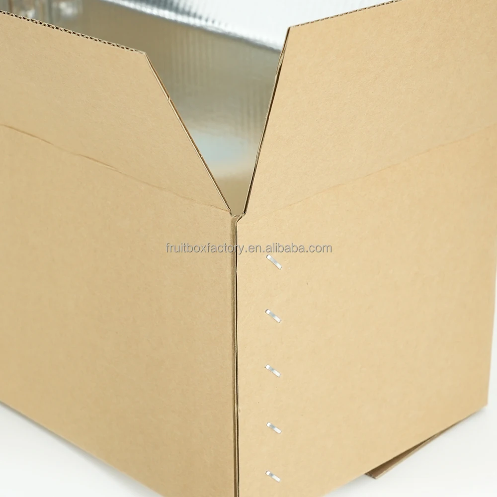 Custom Recyclable Thermal Design Carton Transportation Insulated Boxes ...