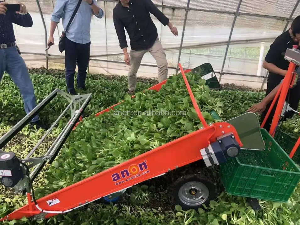ANON Self-Propelled Vegetable Cutting & Harvesting Machine for Lettuce ...