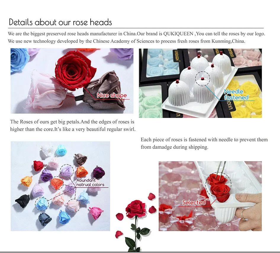 Wholesale Flower Mother's Day Gift Long Life Lasting Real Natural ...