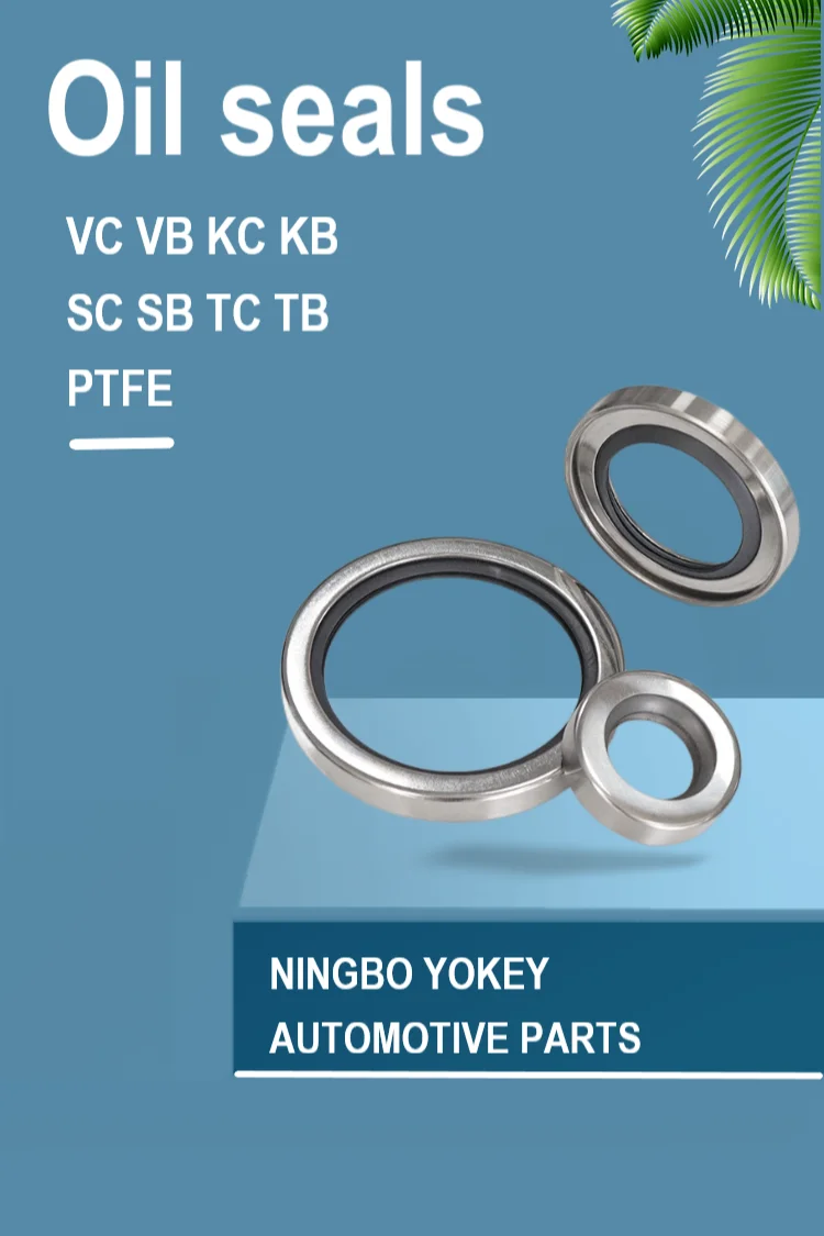 IATF16949 Oil Seal PTFE Coating Lip Rubber Metal Rotary Shaft High ...