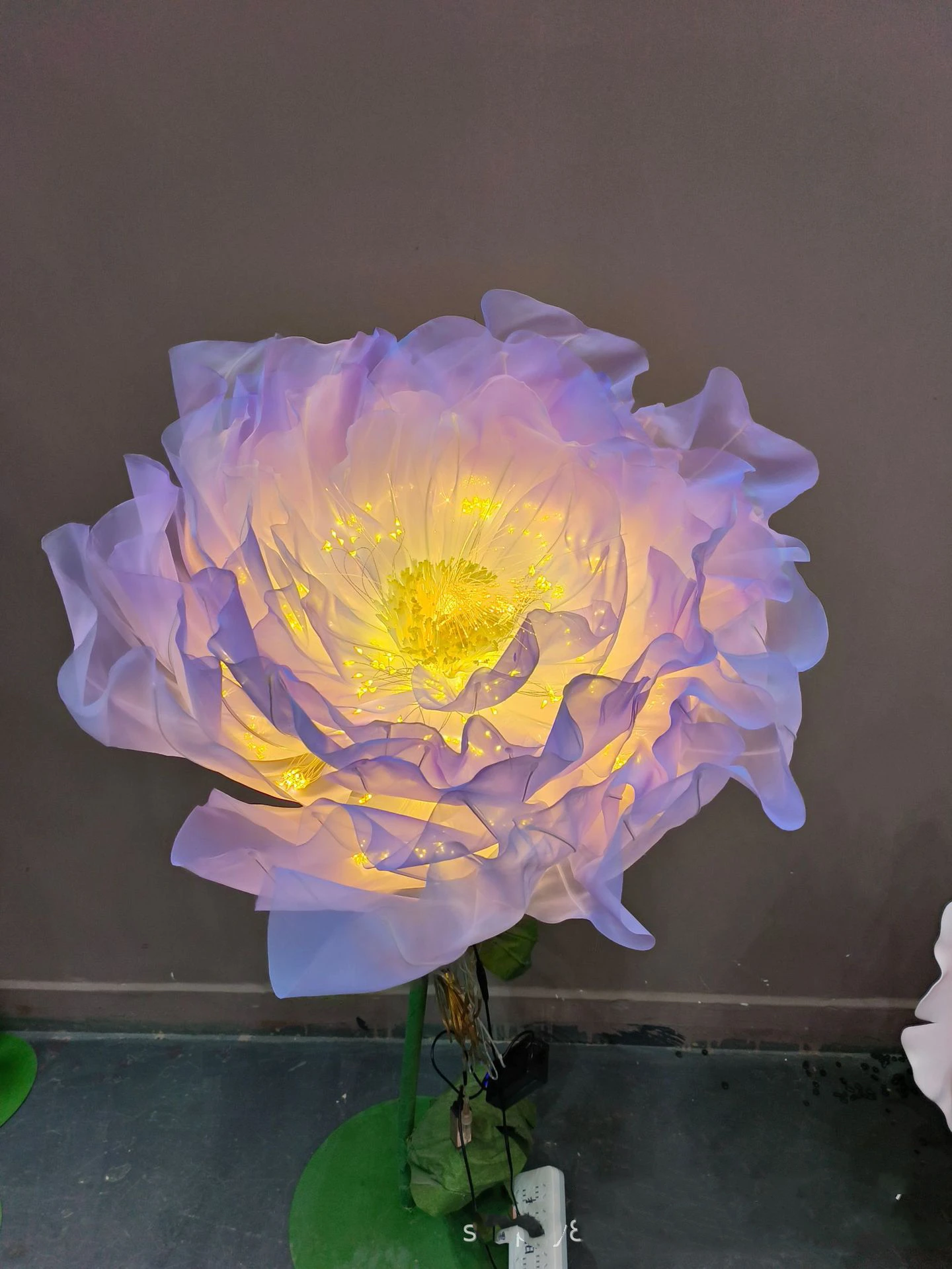 Elegant Automatic Opening & Closing Flowers for Display