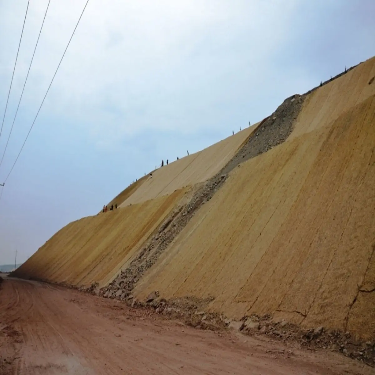 Coconut Silk Blanket Slope Protection Planting Coconut Fiber Coir Fiber ...