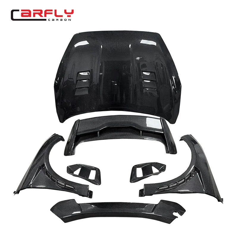 Carbon Fiber Fenders for Ford Focus RS 2015-2018 | UV Protected, Clear ...