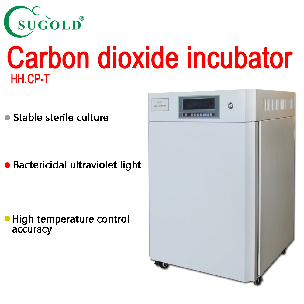 80L Carbon Dioxide Incubator - Precision for Lab Culture