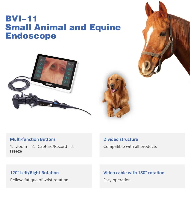 BMV Vaginal Endoscope - Portable HD Colposcope for Diagnosis