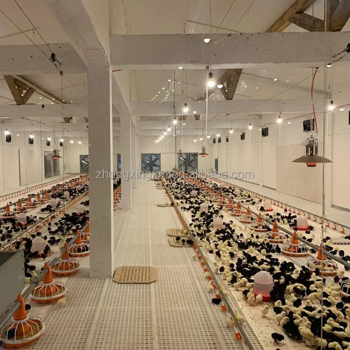 100*50cm Chicken Floor Plastic Slatted Floor Egg Breeder Hens Slat ...