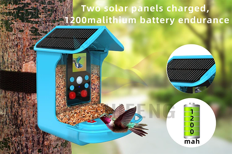 Smart Solar Bird Feeder Automatic Bird Feeder Outdoor Bird Feeder With ...