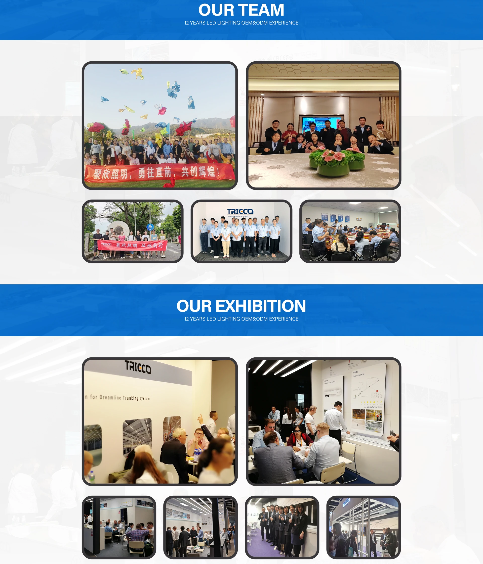 Company Overview - Trieco(Huizhou) Co., Ltd.