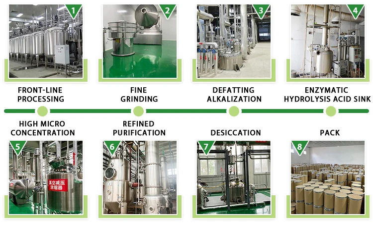 Coptis Rhizoma Extract Powder Supplement 98% Phellodendron Amurense ...