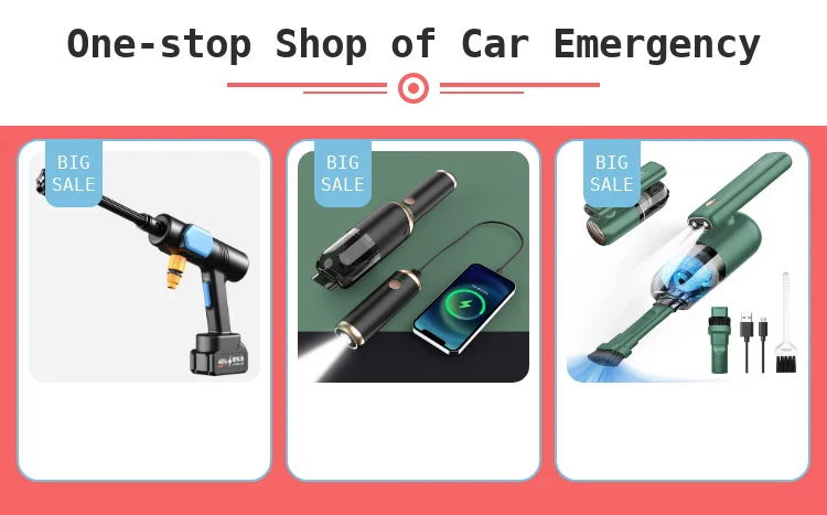 21v High Pressure Cordless Car Washer Wireless Spray Portable Water Gun ...