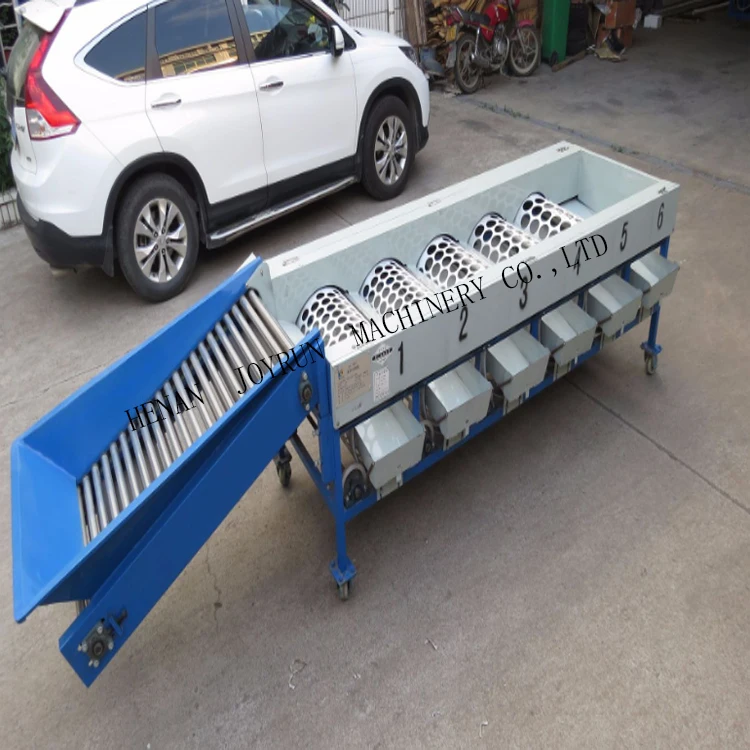 Automatic Fruit Vegetable Grader Sorter - Efficient & Reliable