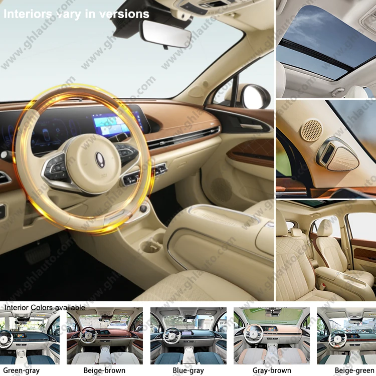 2025 Hot Sale Compact Pure Electric Ora Good Cat Ev Car Ola Mult-colour ...