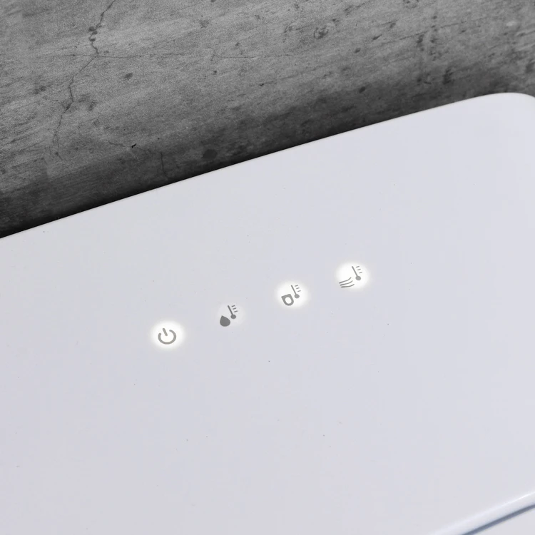 Modern Wall Hung Toilet Marble Luxury Bathroom Sensor Smart Electric ...