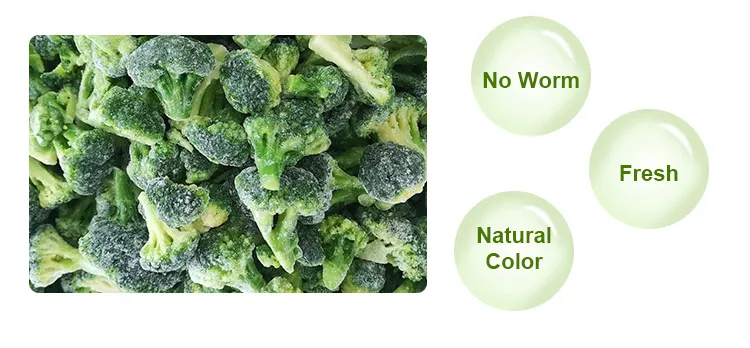Worm Free X Ray Inspected Frozen Chinese Broccoli Florets