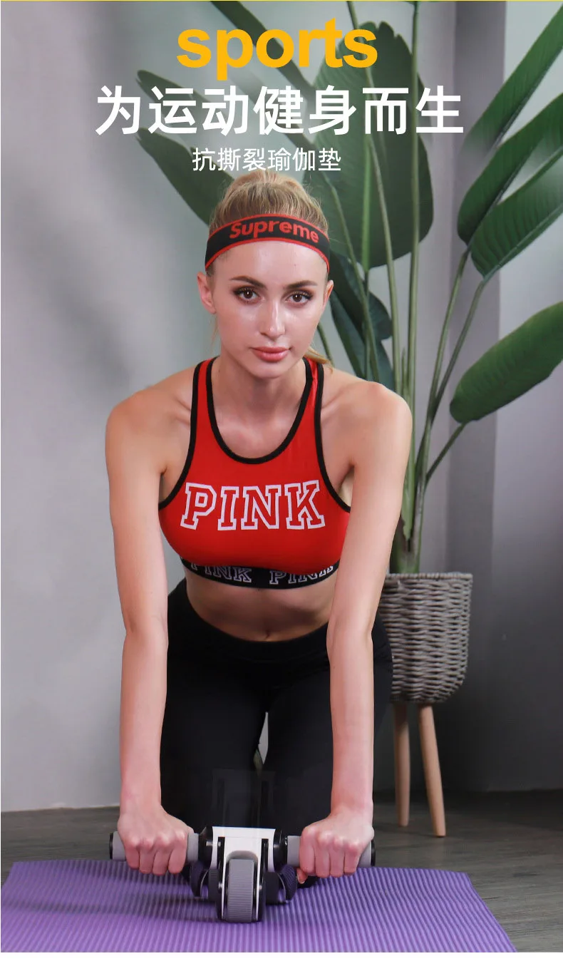 2023 Foldable Ab Roller Wheel Without Counter - Buy Foldable Ab Roller ...