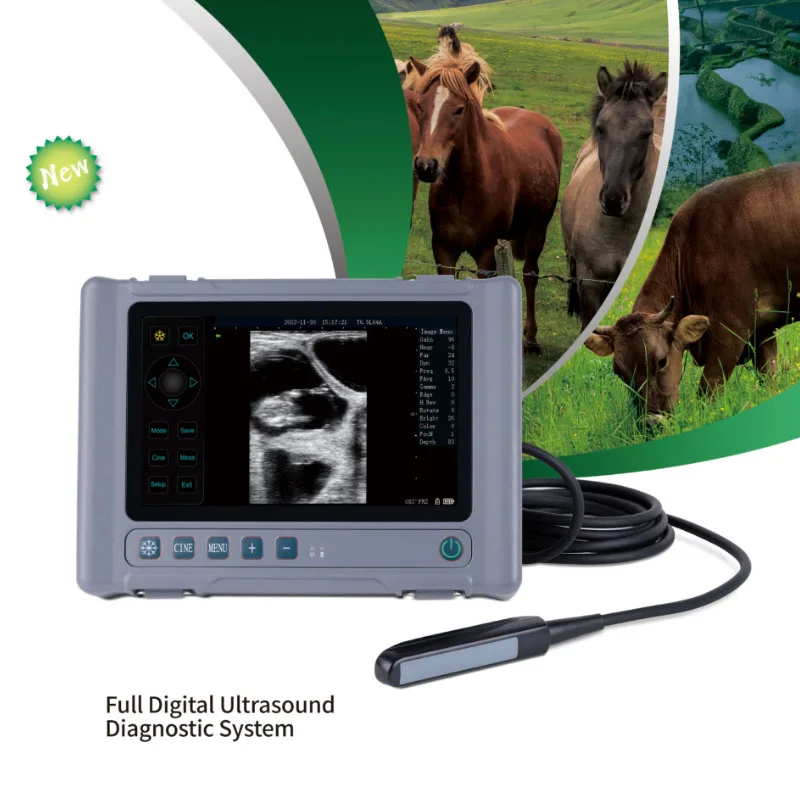 Hospital Equipment Portable Ultrasound Scanner Diagnostic System 8-inch ...