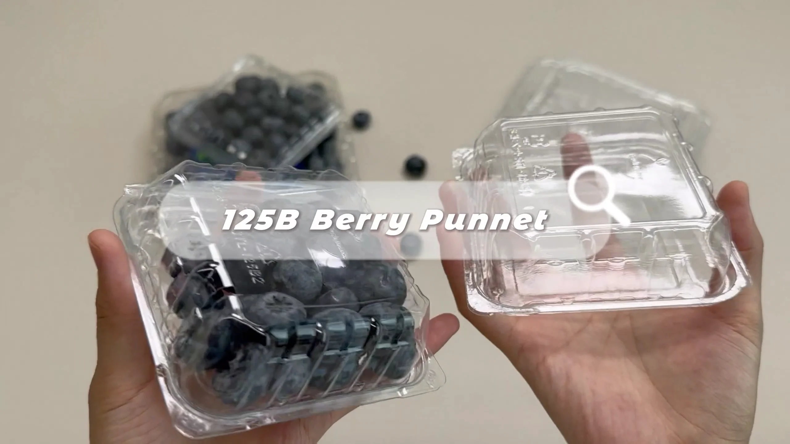 Transparent Custom125g Blister Packaging Clamshell Plastic Fruit Box 125g Blueberry Container ...