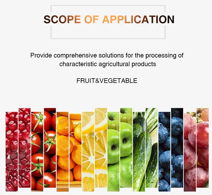 Factory Genyond 20% OFF Fruit Puree Pulping Machine / Juice Screw ...