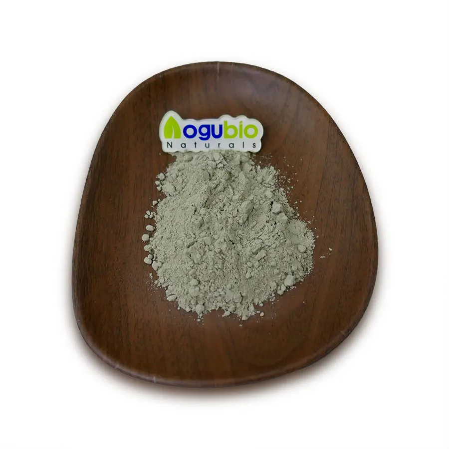 Aogubio Bifidobacterium Bifidum Food Additives Probiotics Bulk Bifidobacterium Bifidum Powder