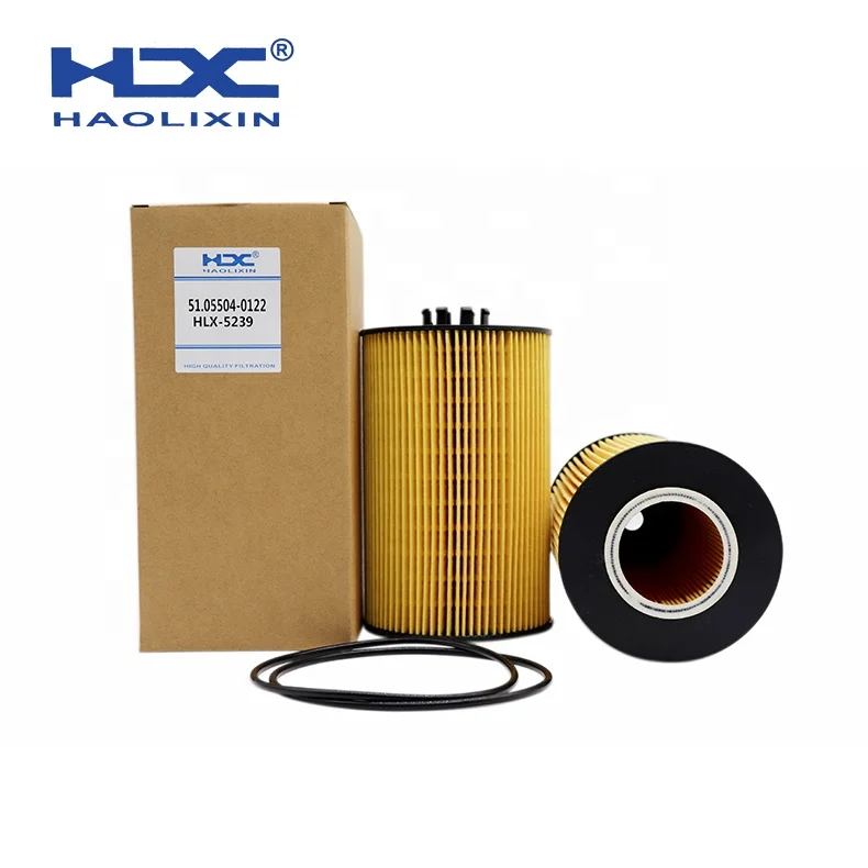 Oil Filter Lf17056 Lf16244 51055040108 51.05504-0108 P550820 P550905 ...