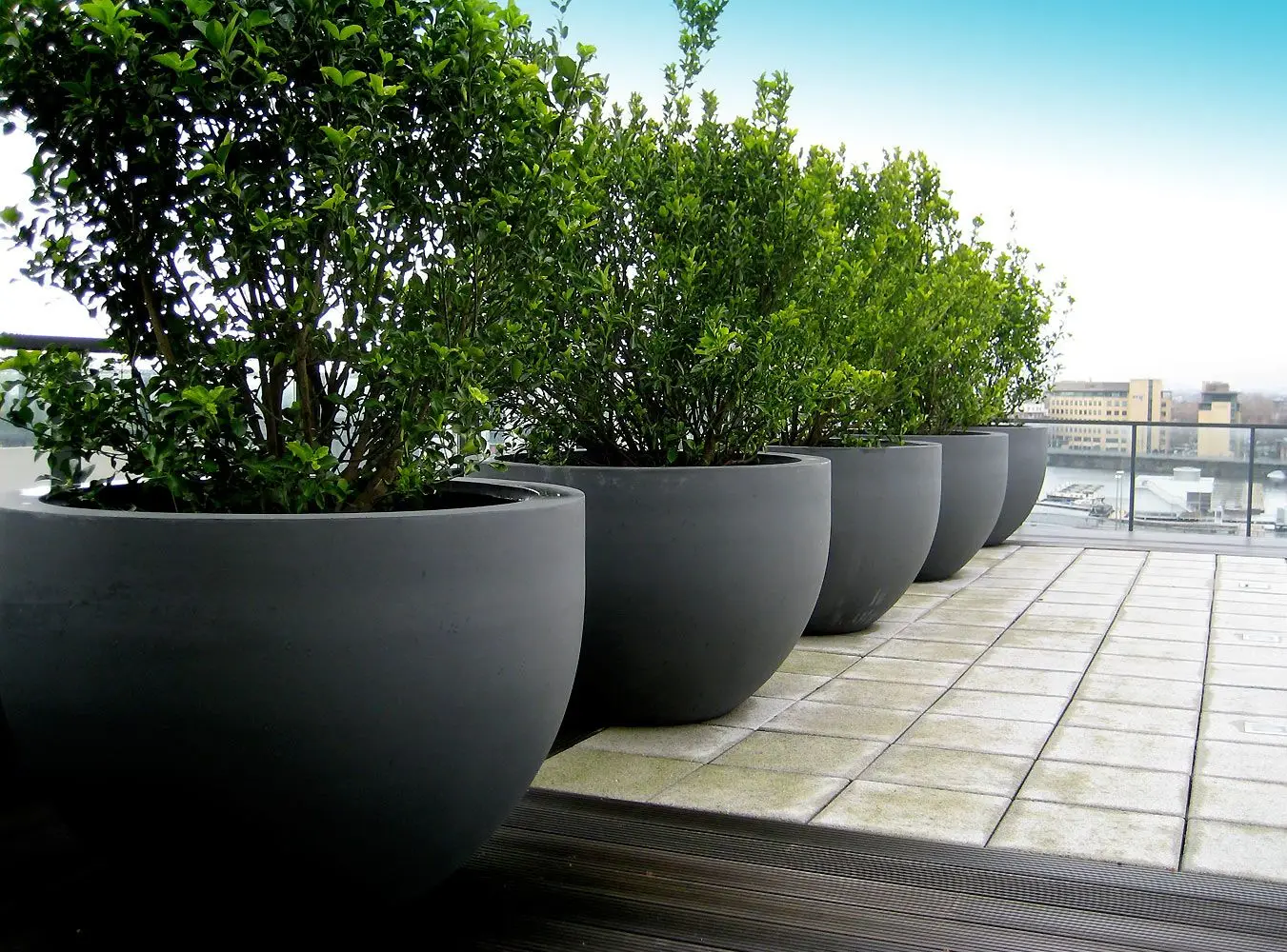 Shop Durable, Lightweight Fiberglass Planters for Gardens