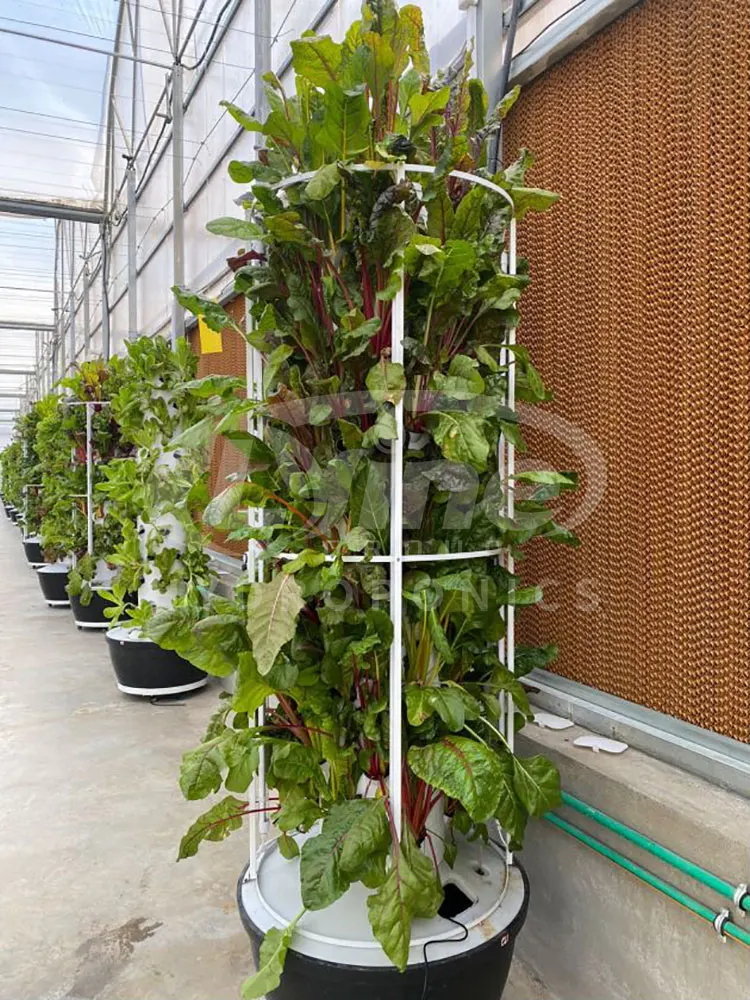 Hydroponic Tower Vertical Planting Farm - Easy & Efficient