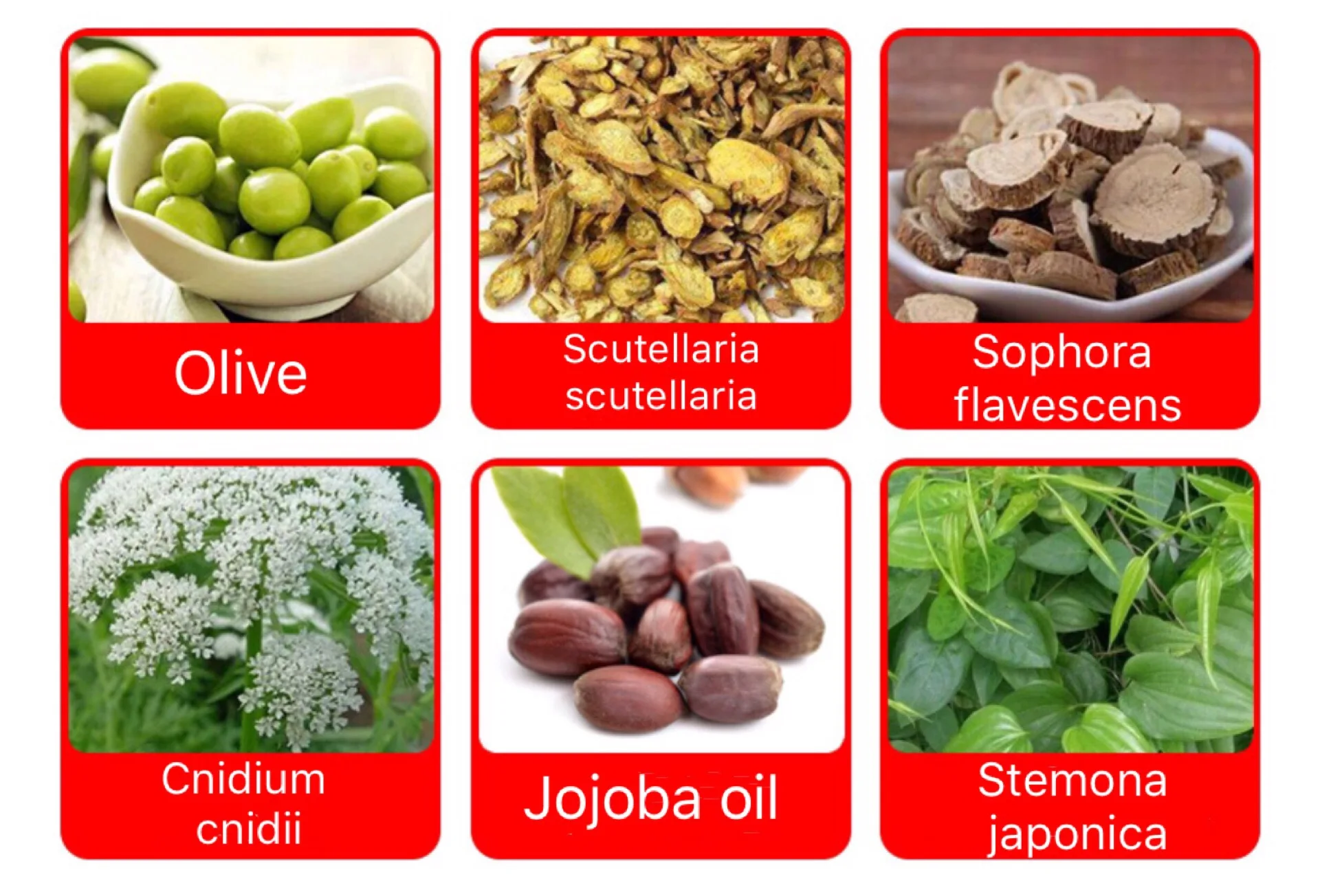 Hot Selling Yoni Pops Vaginal Suppository Capsules Organic Yoni Pops ...