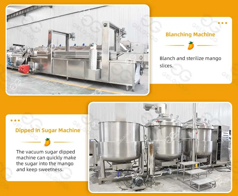 Gelgoog Dried Fruits Processing Line Vegetable Drying Machine Automatic ...