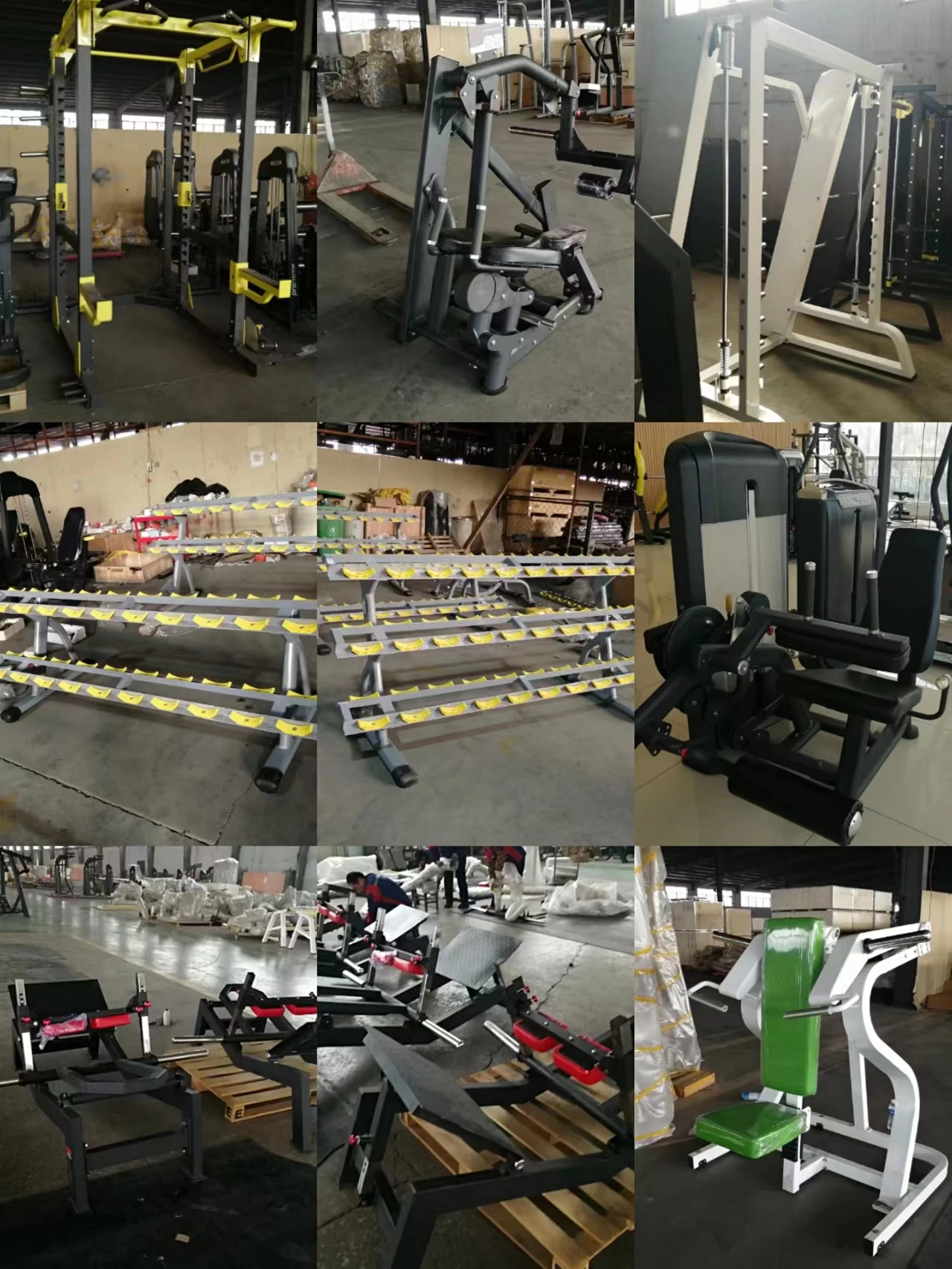 Durable Standing Lateral Raise Machine for Comprehensive Fitness ...