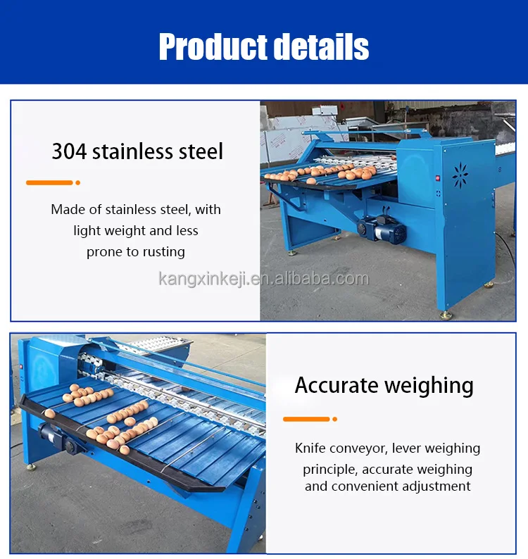 Table Top Grading Sorter Basic Sorting Kitchen Egg Grade Machine - Buy ...