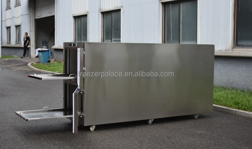 Large Selection Of Mortuary Coolers And Freezers Forensic Lab And ...