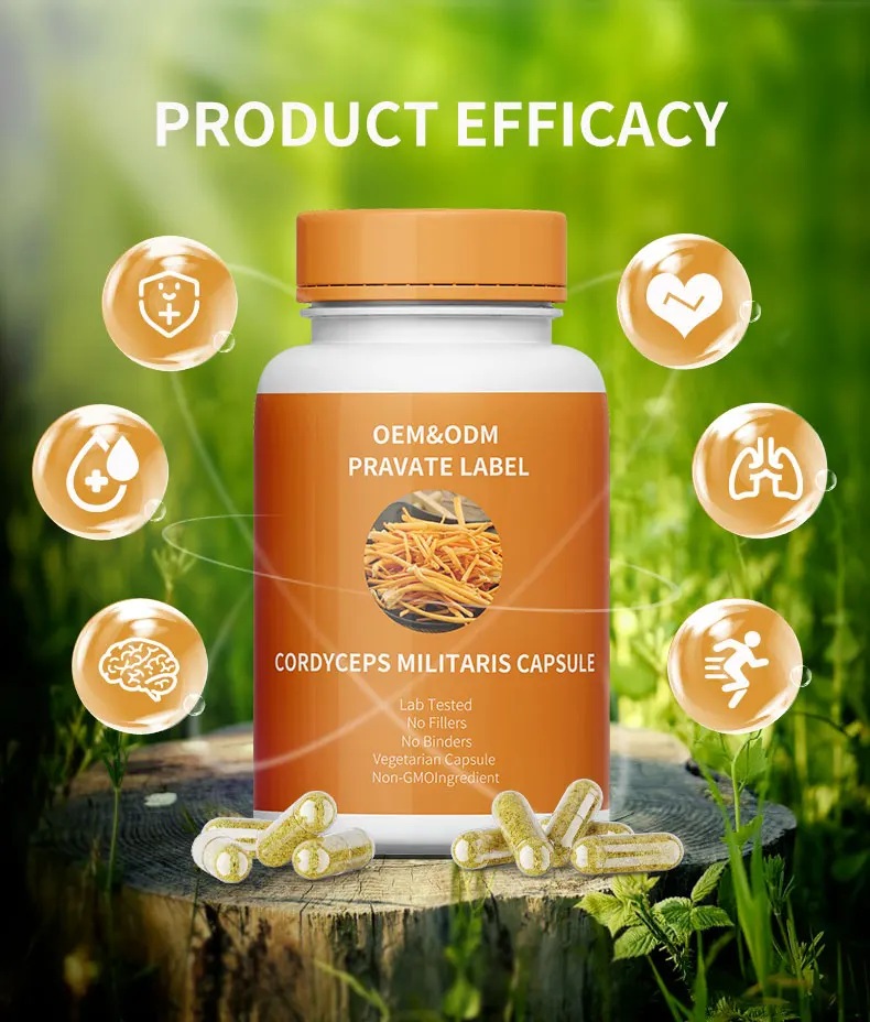 Oem Herbal Supplements Cordyceps Extract Capsules Cordyceps Sinensis ...