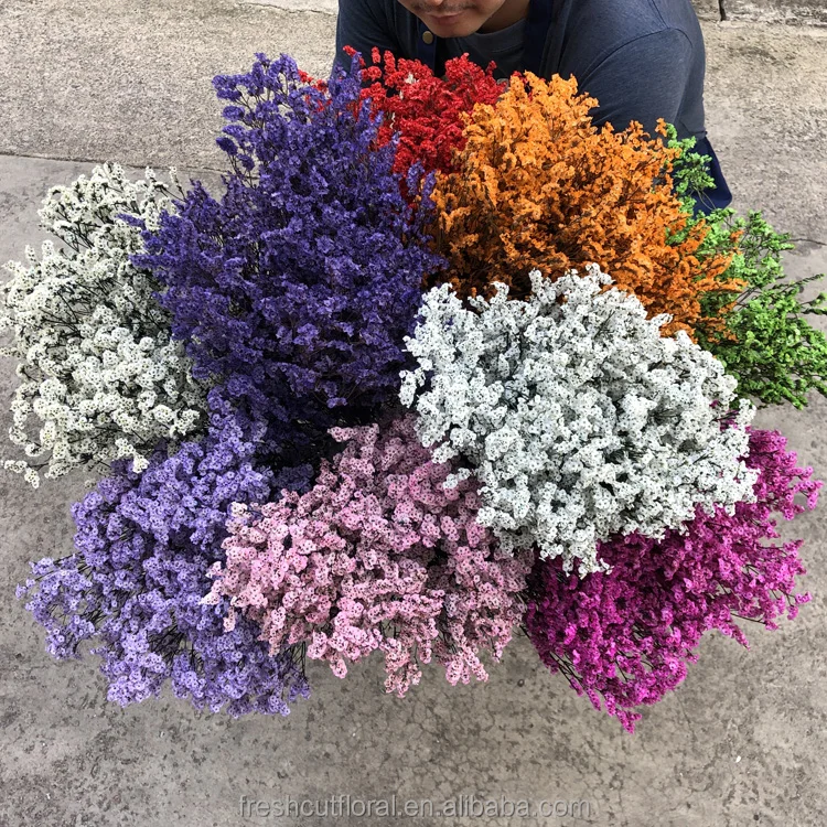 Factory Supply Preserved Flower Preserved Sea Lavender Flower Limonium ...