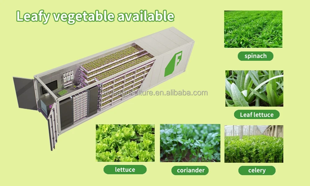 Smart Farm Vertical Hydroponic System - Container Greenhouse
