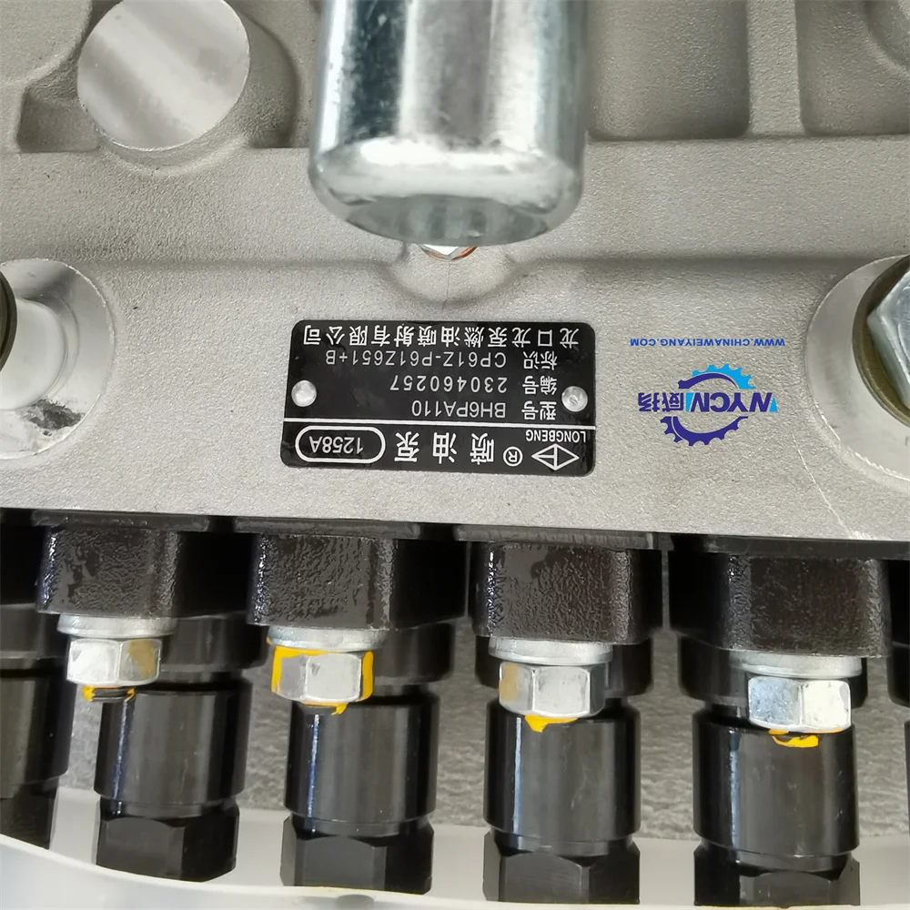 BH6PA110 Diesel Engine Parts - Longbeng Fuel Injection Pump 1258A