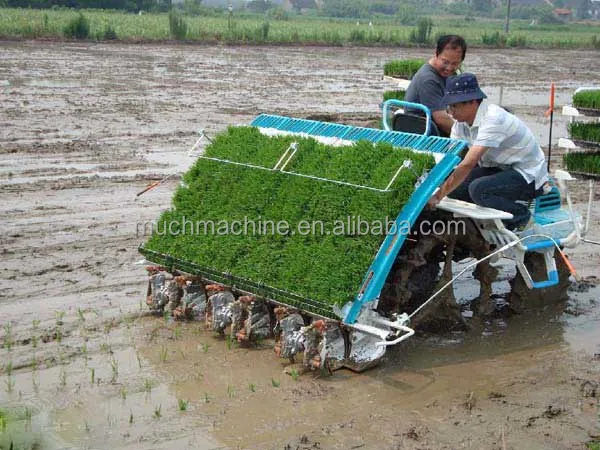 Rice Planter Machines - High Productivity & Multifunctional