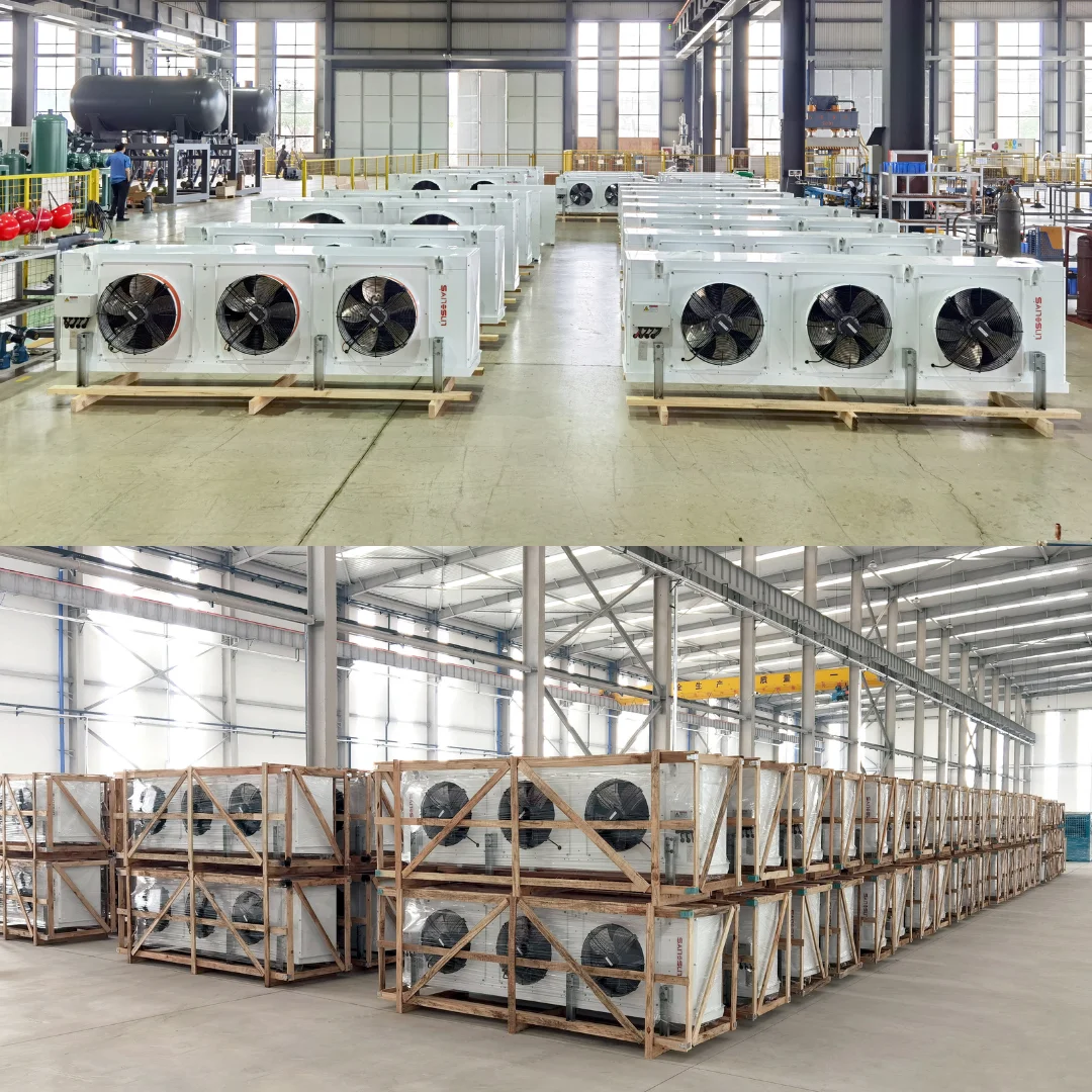 Mango Cold Room Storage For Efficient Storage Of Mangoes - Buy Mango ...